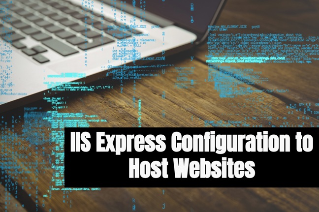 IIS express configuration to host websites - Raybiztech